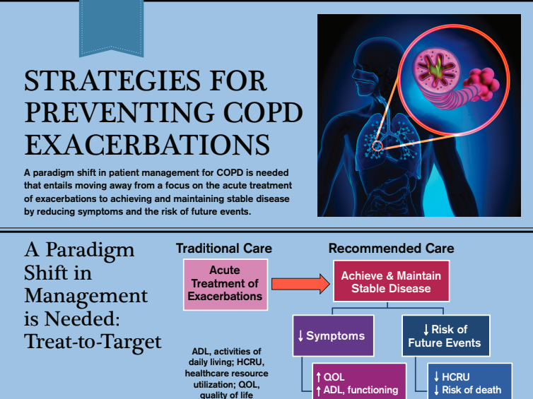 Strategies For Preventing Copd Exacerbations Poster Inhale