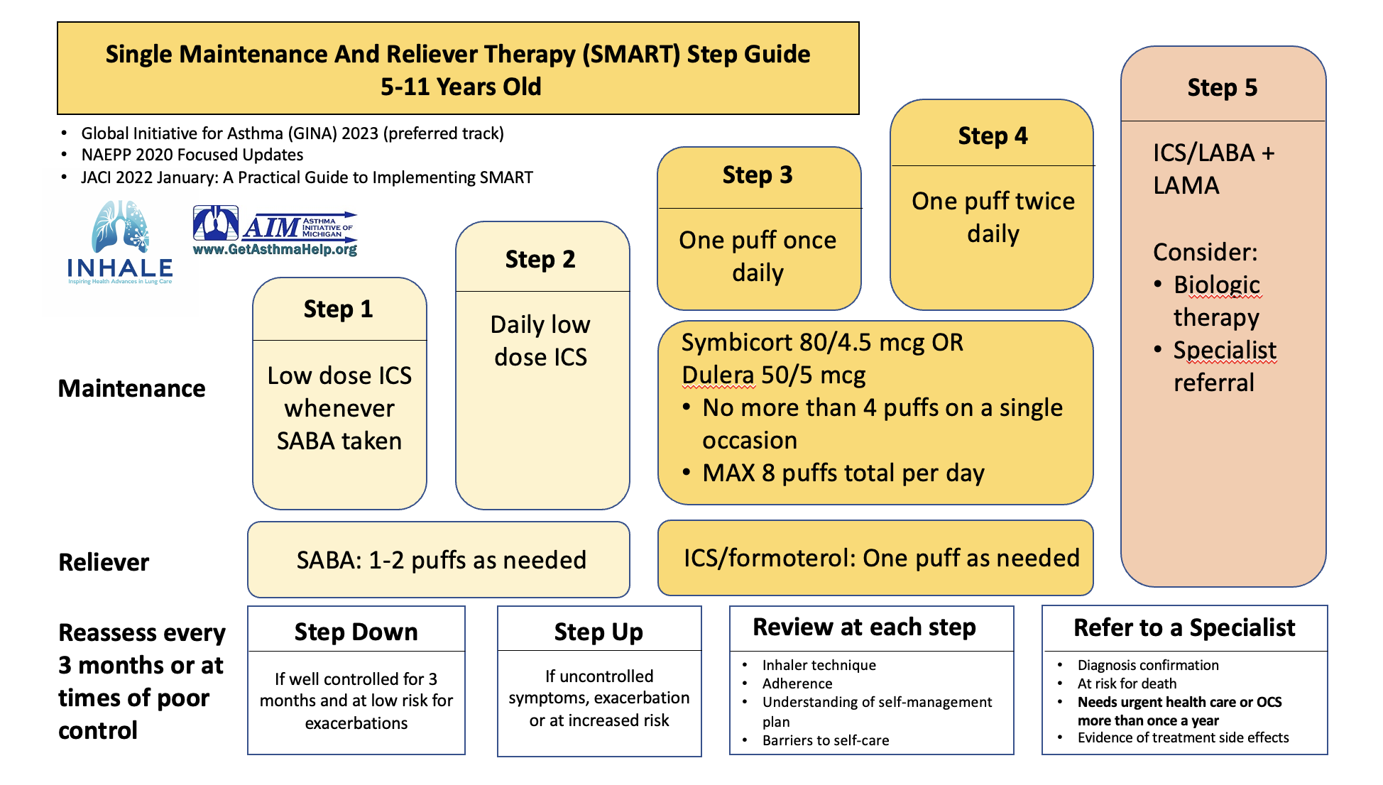 Inhaler Education Toolkit – INHALE